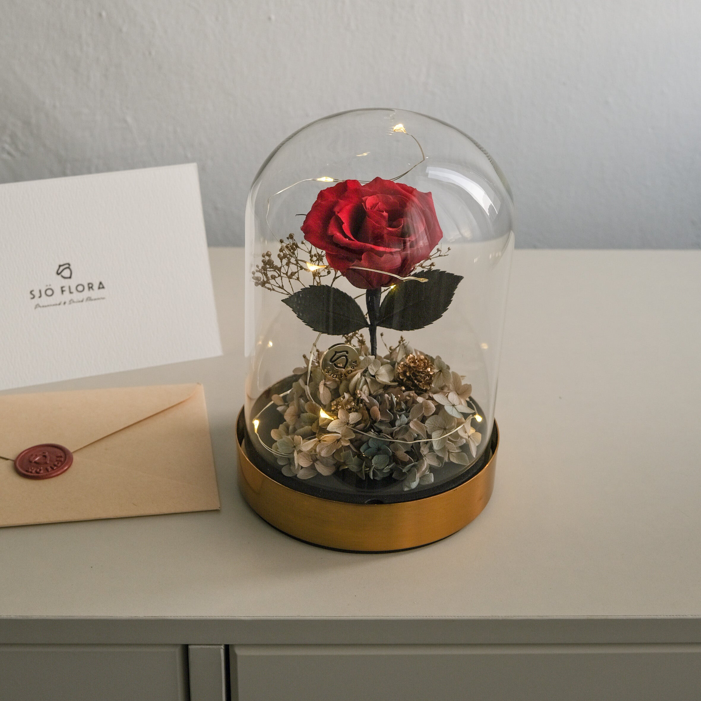 Beauty & The Beast Bell Jars | Preserved Flower Jars in SG – SJÖ Flora